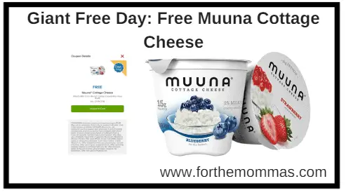 Giant Free Day Freebie: Free Muuna Cottage Cheese