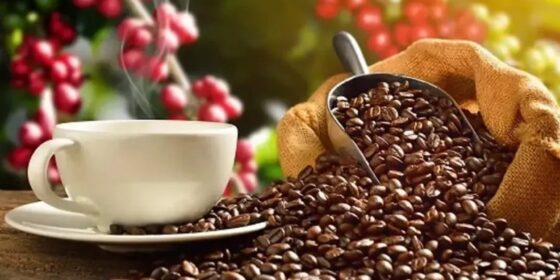 6 Best Coffee-Making Tips