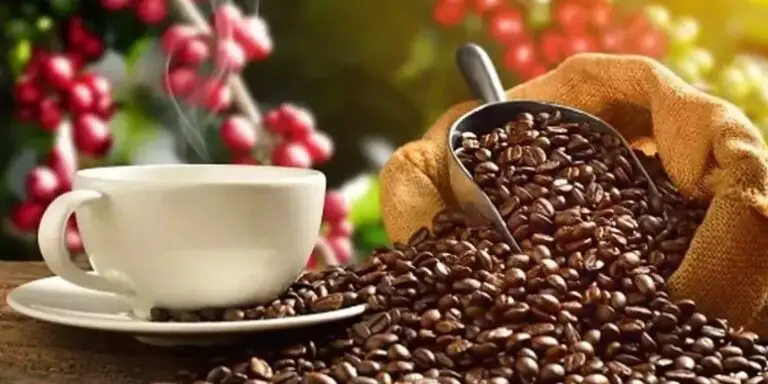 6 Best Coffee-Making Tips