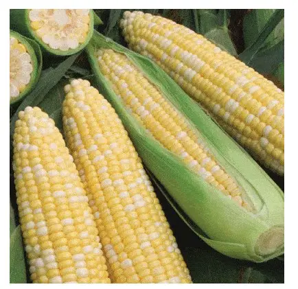 Save $$ | Hot Coupons & Deals | Weekly Ad Previews | Matchups