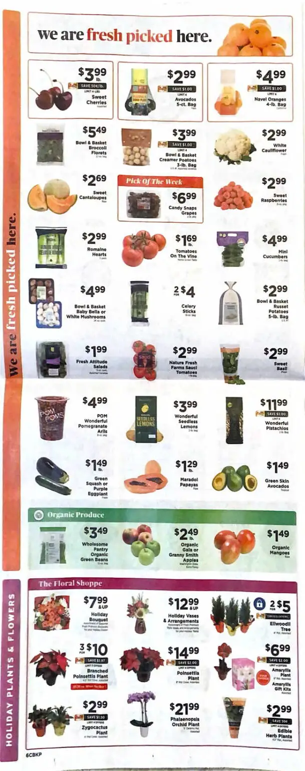 ShopRite Circular for This Week and Next Week